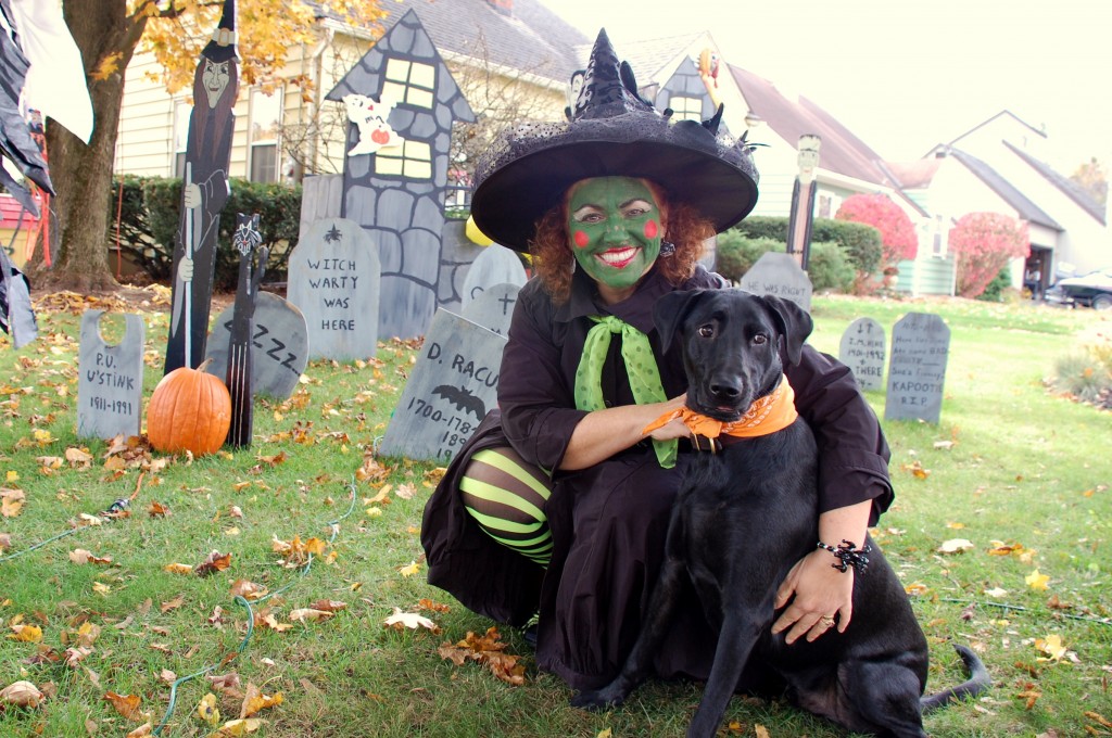 » For Fenway, A Love Letter life lessons from Oz